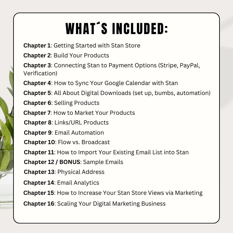 Beginners Guide to Stan Store Email Automation Ebook With MRR PLR Done-for-you DFY Digital ...