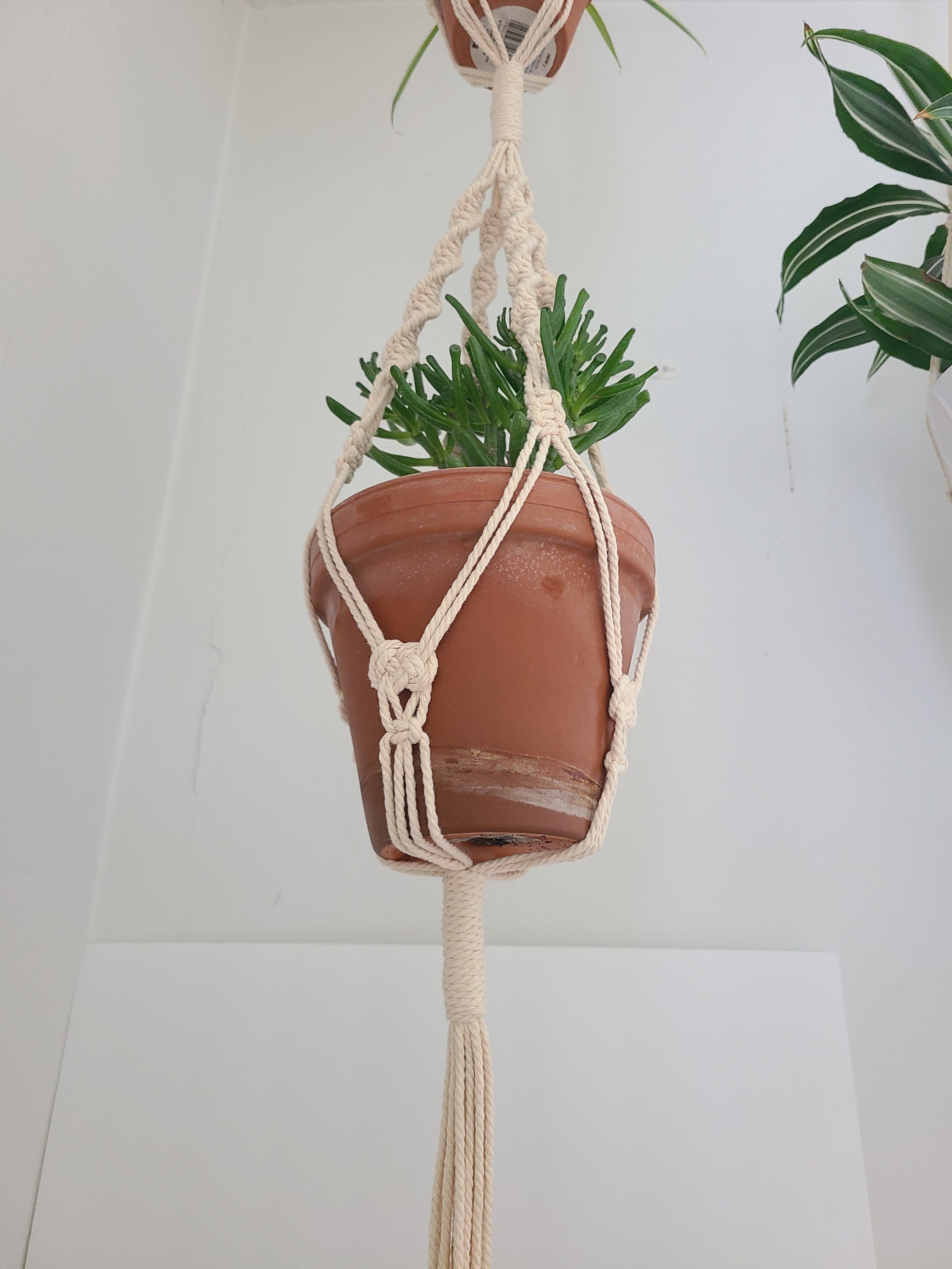 Double Macrame Plant Hanger Double Plant Hanger Macrame | Etsy