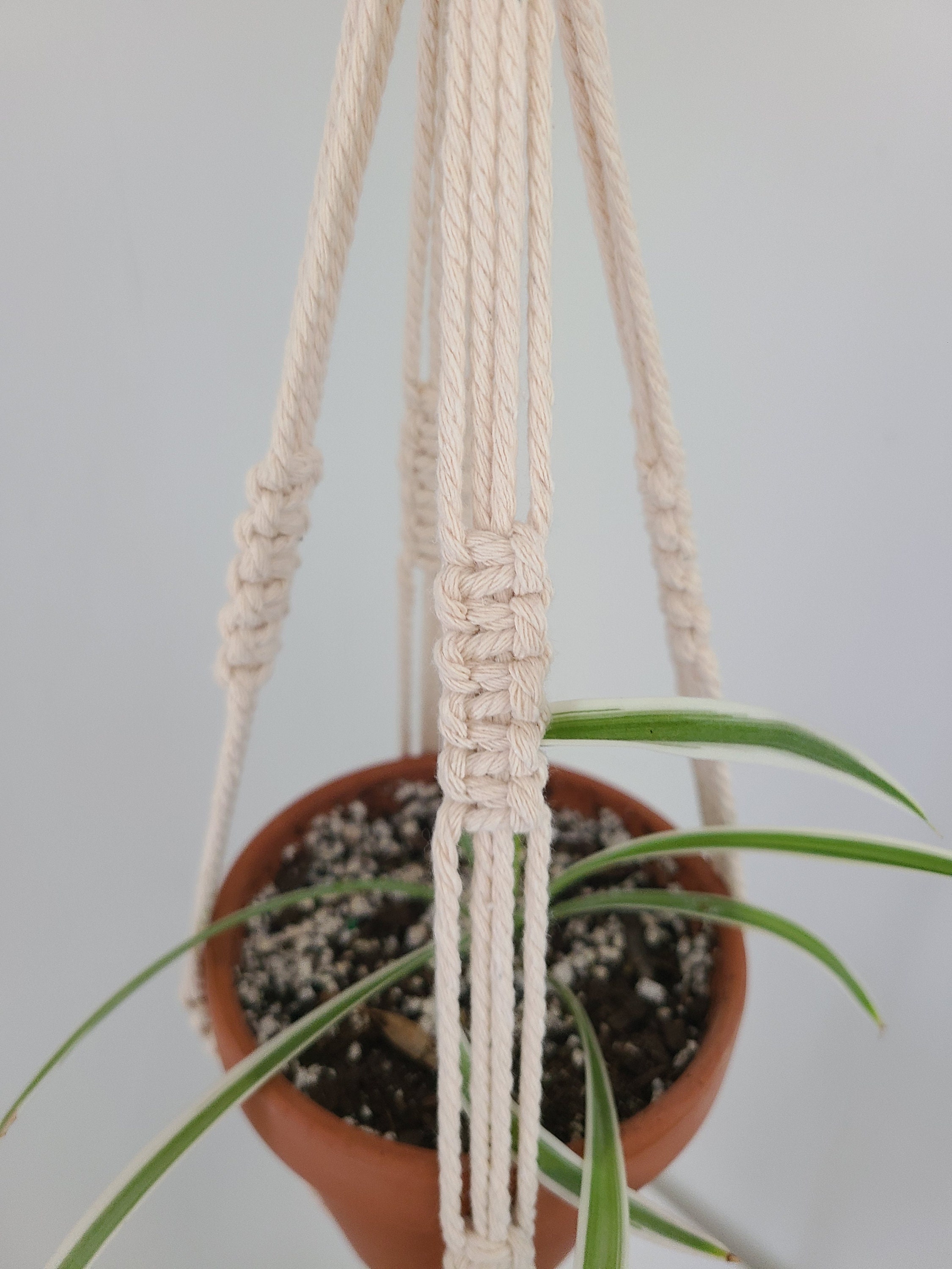 Double Macrame Plant Hanger Double Plant Hanger Macrame | Etsy