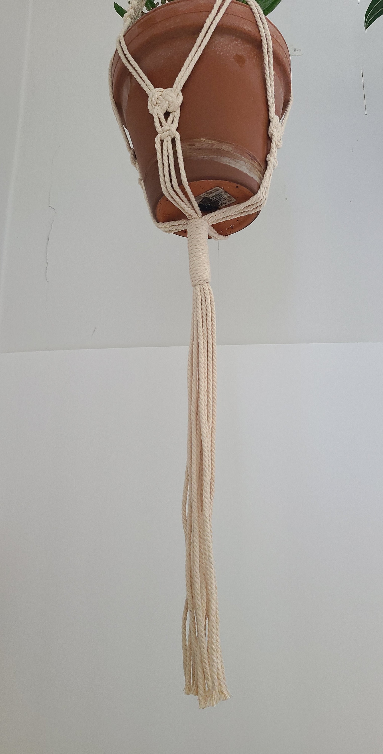 Double Macrame Plant Hanger Double Plant Hanger Macrame | Etsy