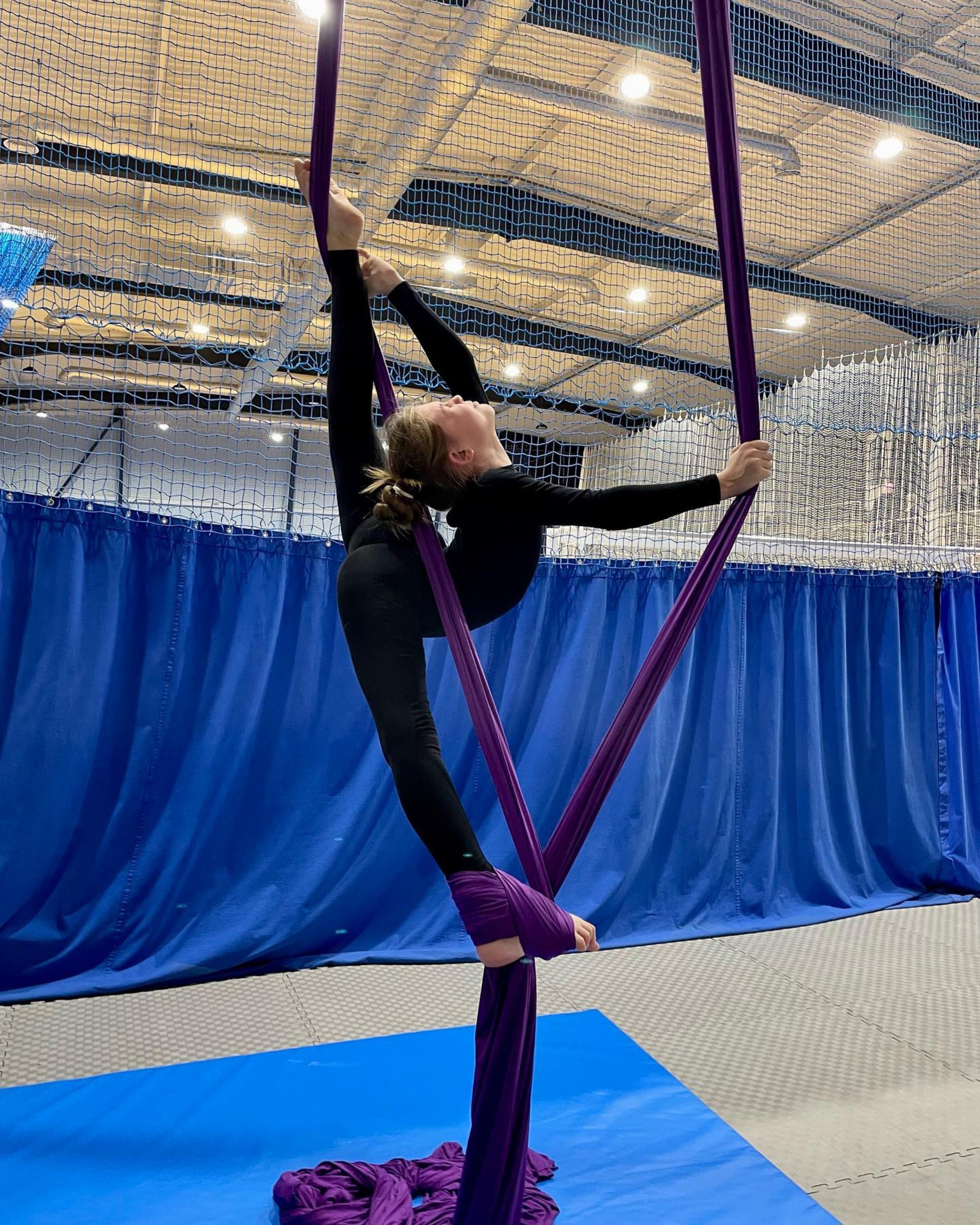 Custom Aerial Silks Wall Decor, Aerialist Drawing, Aerialist Postcard ...