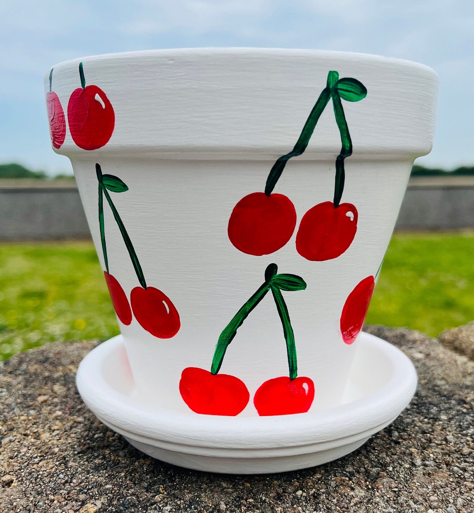 Hand-painted Plant Pot - Cherries - Etsy