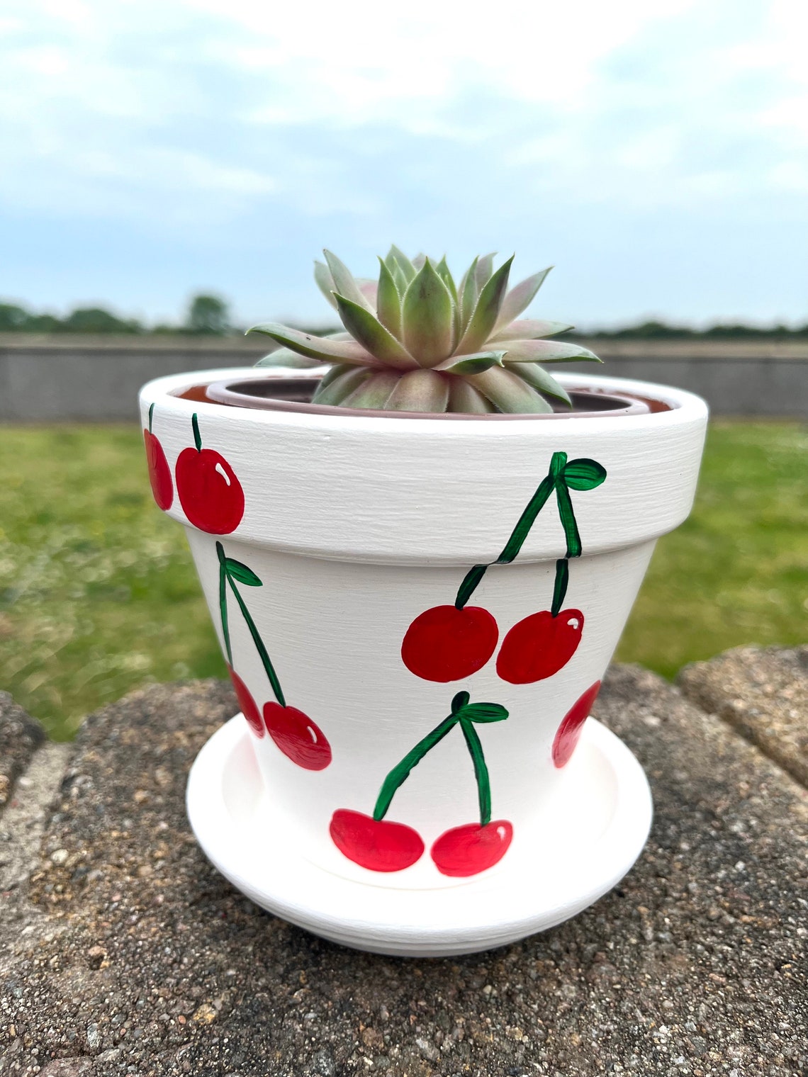 Hand-painted Plant Pot - Cherries - Etsy