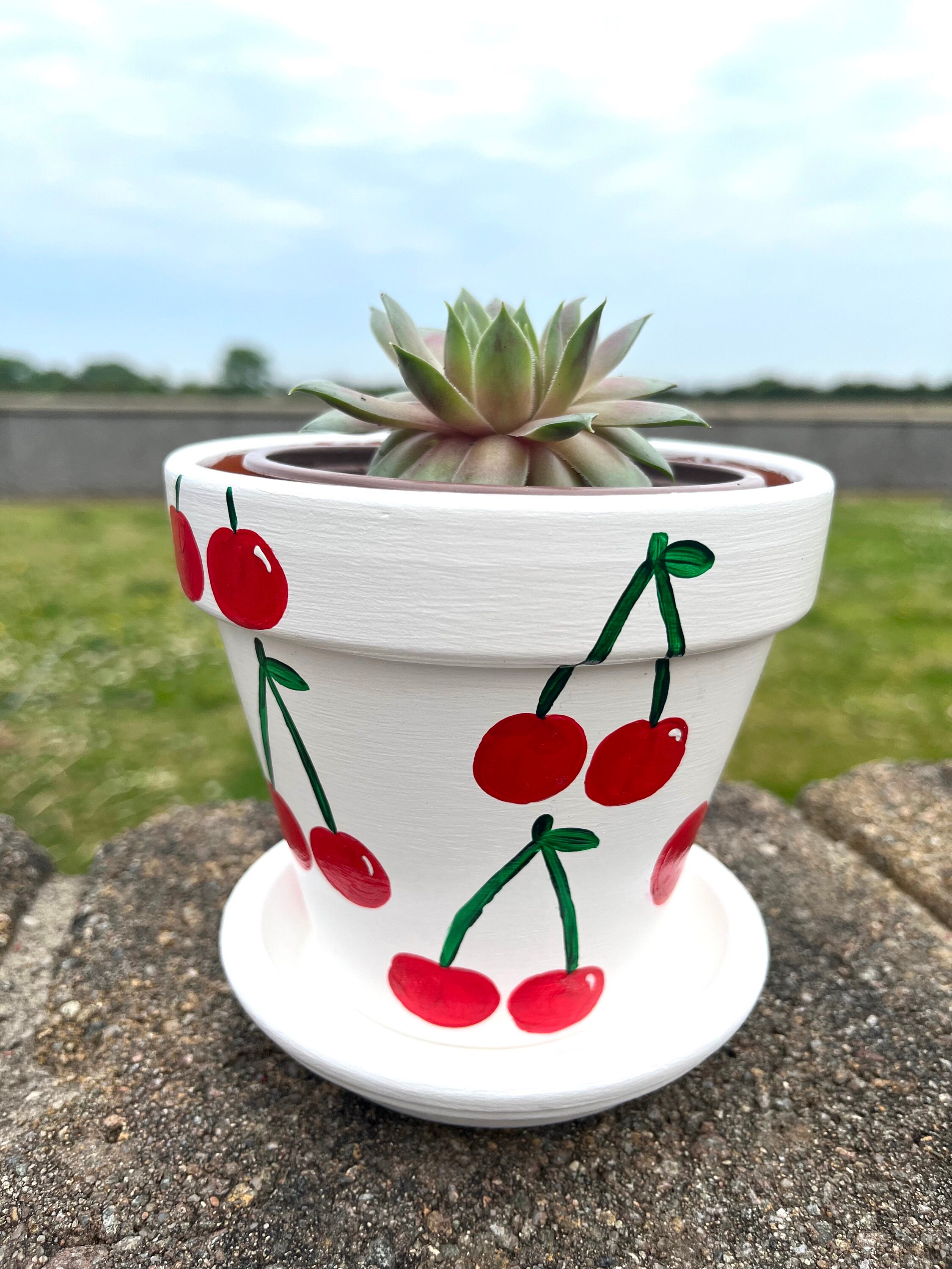 Hand-painted Plant Pot - Cherries - Etsy UK