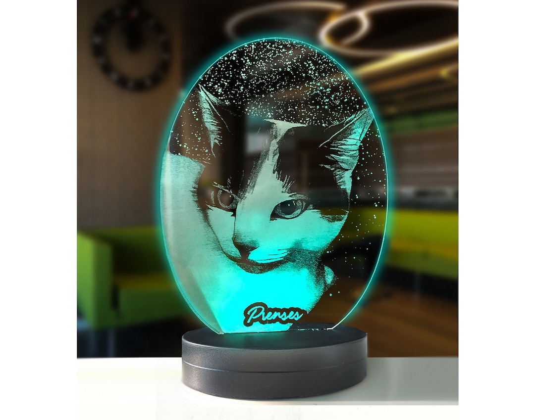 Custom Cat Photo LED Lamp: 3D Pet Memorial Gift - Etsy
