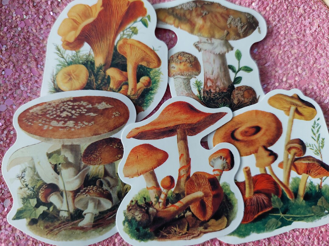 Vintage Mushroom Sticker Set 5 Pieces - Etsy