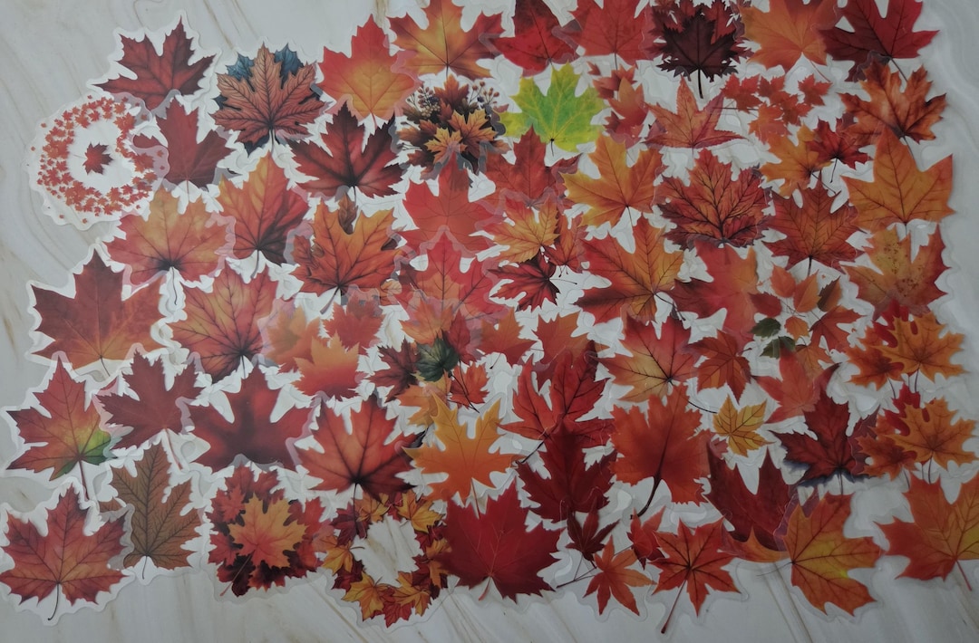 Transparent Stickers With Autumn Leaves - Autumn 60 Pieces - Etsy