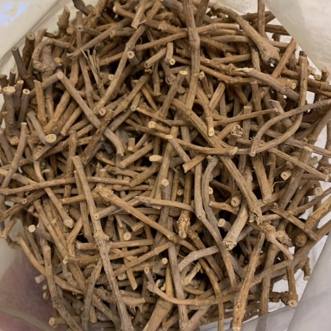 SILENE CAPENSIS Seeds FREE Shipping African Dream Root | Etsy