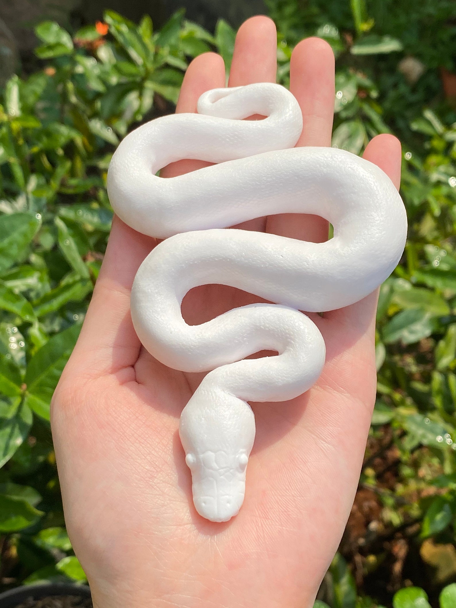 Customizable Ball Python Real Baby Size / Ball Python Figure / - Etsy