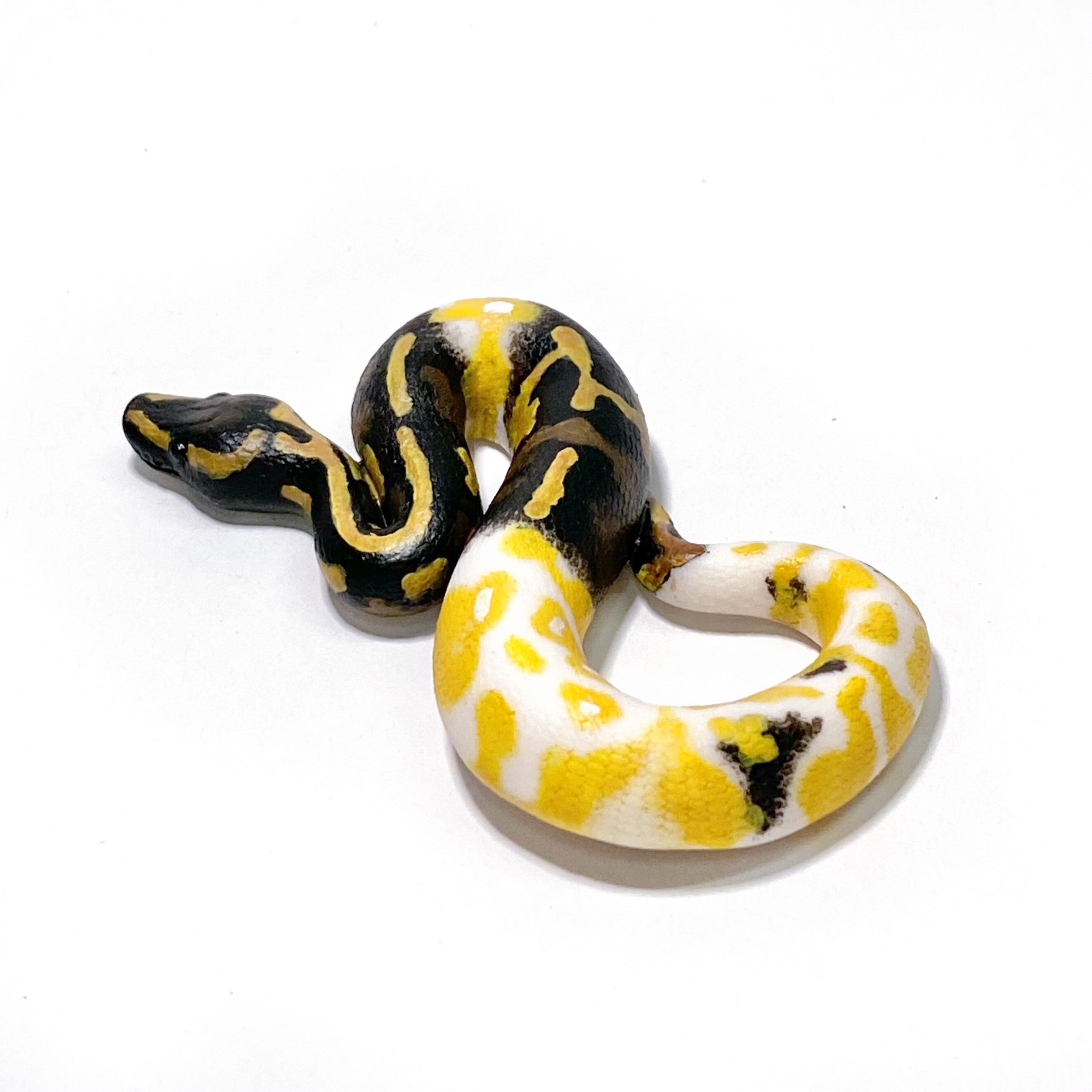 Albino Burmese Python Cake