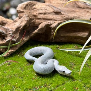 Super Cinnamon Desert Ghost Ball Python Miniature / Figurine ...
