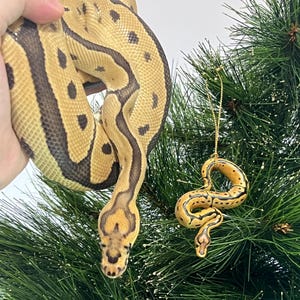 Ball Python Christmas Decoration - Etsy