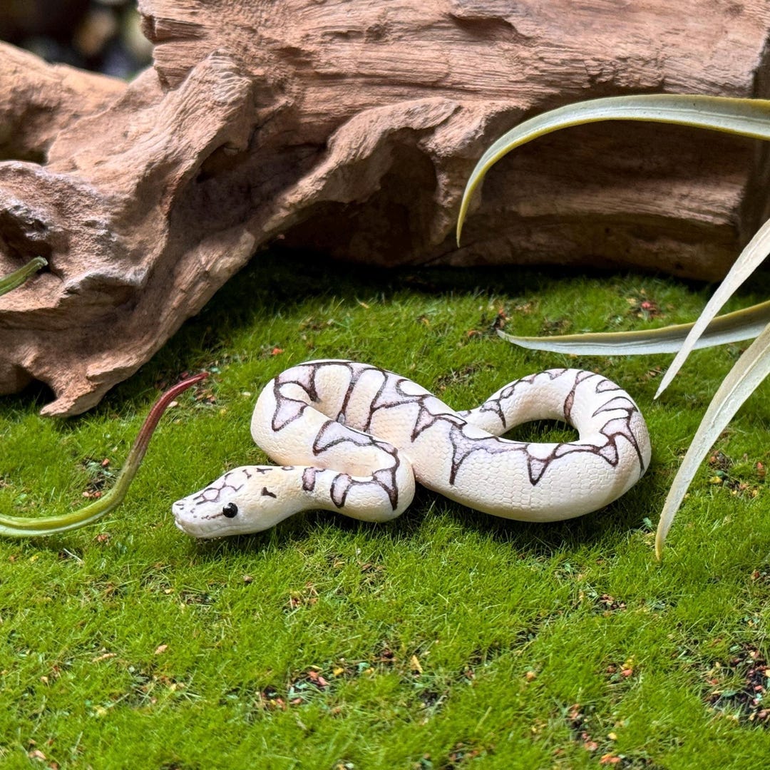Desert Ghost Clown Ball Python Miniature / Figurine / Sculpture / Snake ...