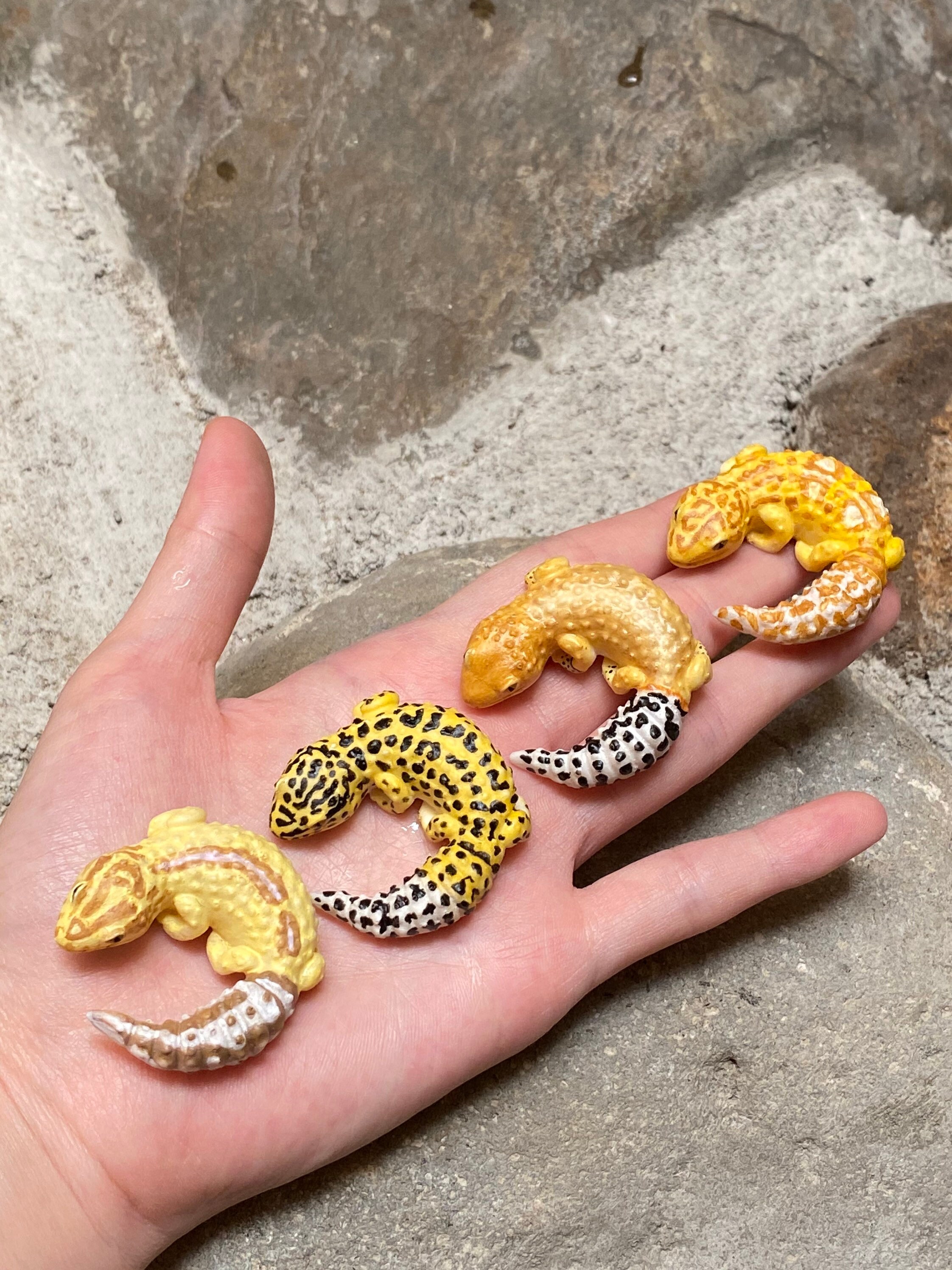 Customizable Miniature Leopard Gecko Reptile Animal | Etsy