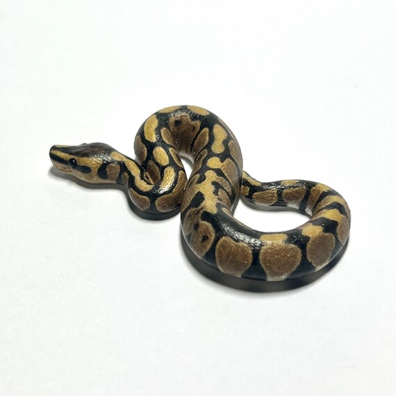 Normal Ball Python