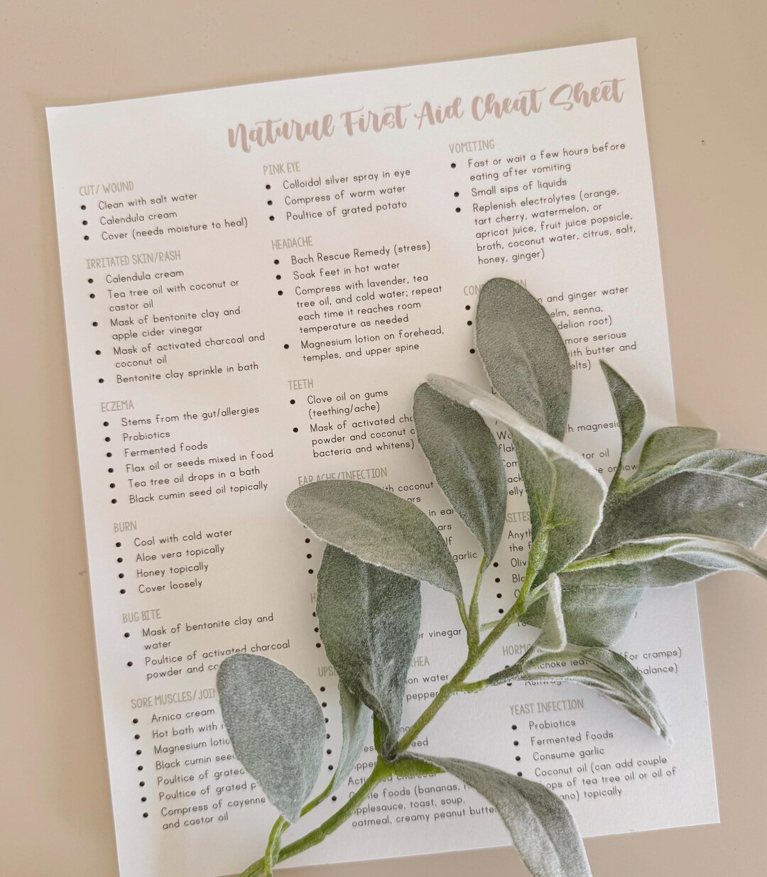 Natural First Aid Cheat Sheet - Holistic Remedies - Natural Living ...