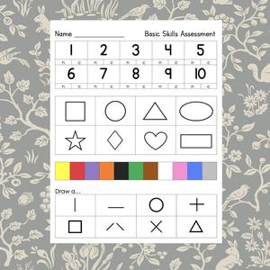 Starting School Assessment - Letters - Numbers - Shapes - Colors ...
