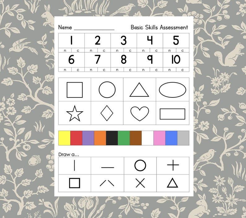Starting School Assessment - Letters - Numbers - Shapes - Colors ...