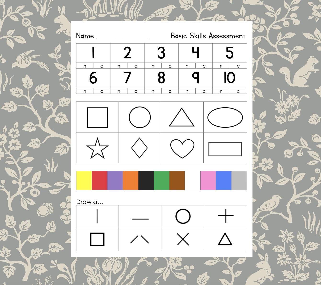 Starting School Assessment - Letters - Numbers - Shapes - Colors ...