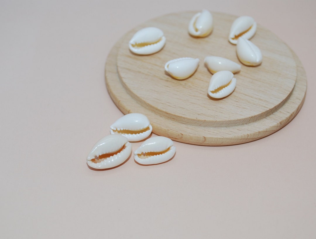 Lote de 10 conchas Cauri perforadas para la creación de joyas. - Etsy ...