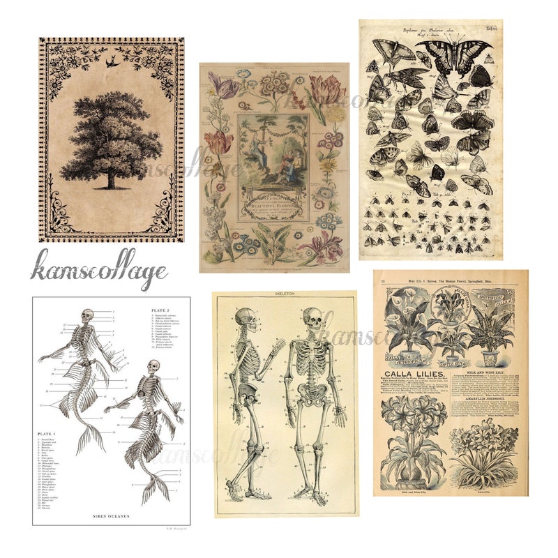 Vintage Poster - Etsy UK