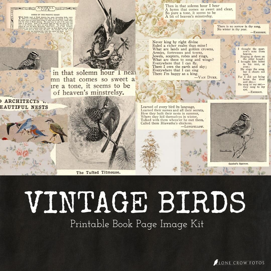 Vintage Birds Printable Book Page Image Kit | 18 Printable Pages ...