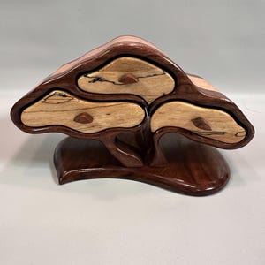 Jewelry Box, Band Saw Box, Bonsai Tree, Trinket Box - Etsy