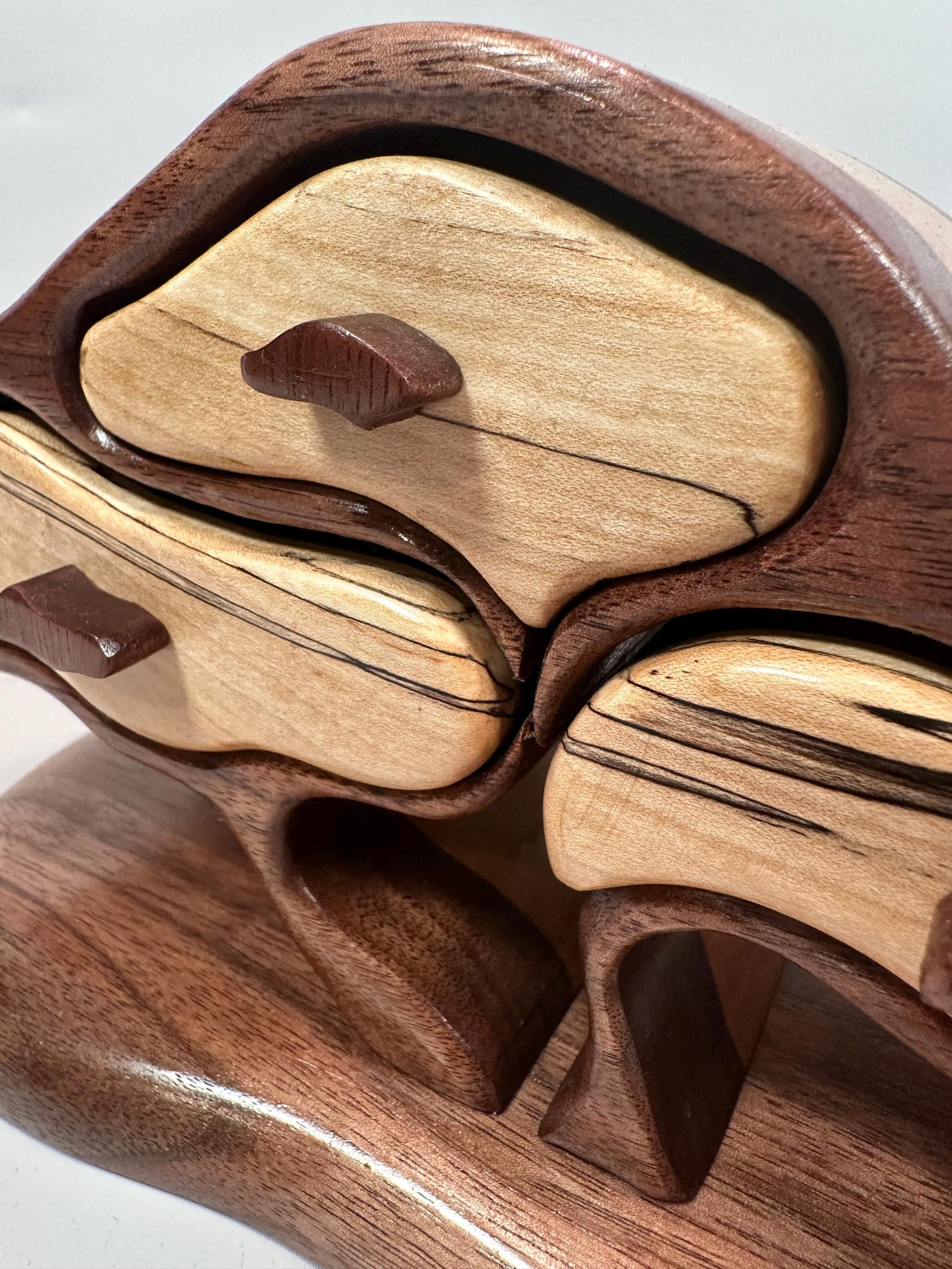 Bonsai Tree Jewelry Box: Walnut, Oak and Spalted Maple Trinket/band Saw ...