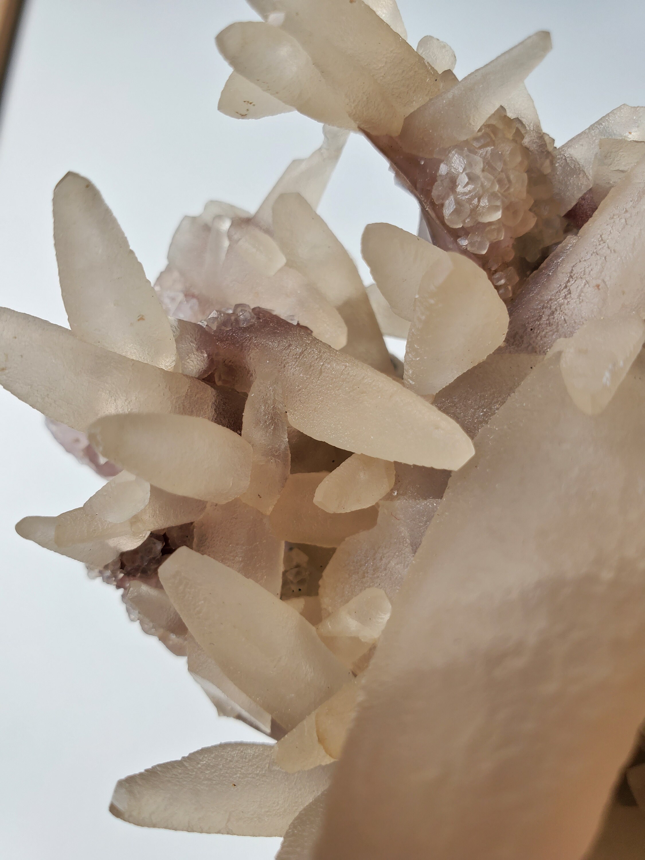 Calcite Specimen Dog Tooth Calcite UV Reactive Large | Etsy