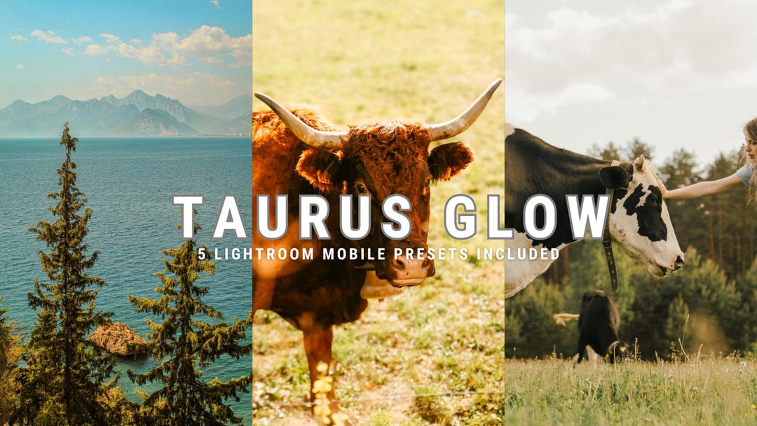 Taurus Glow Preset Pack – 5 Earthy Lightroom Mobile Filters | Warm ...