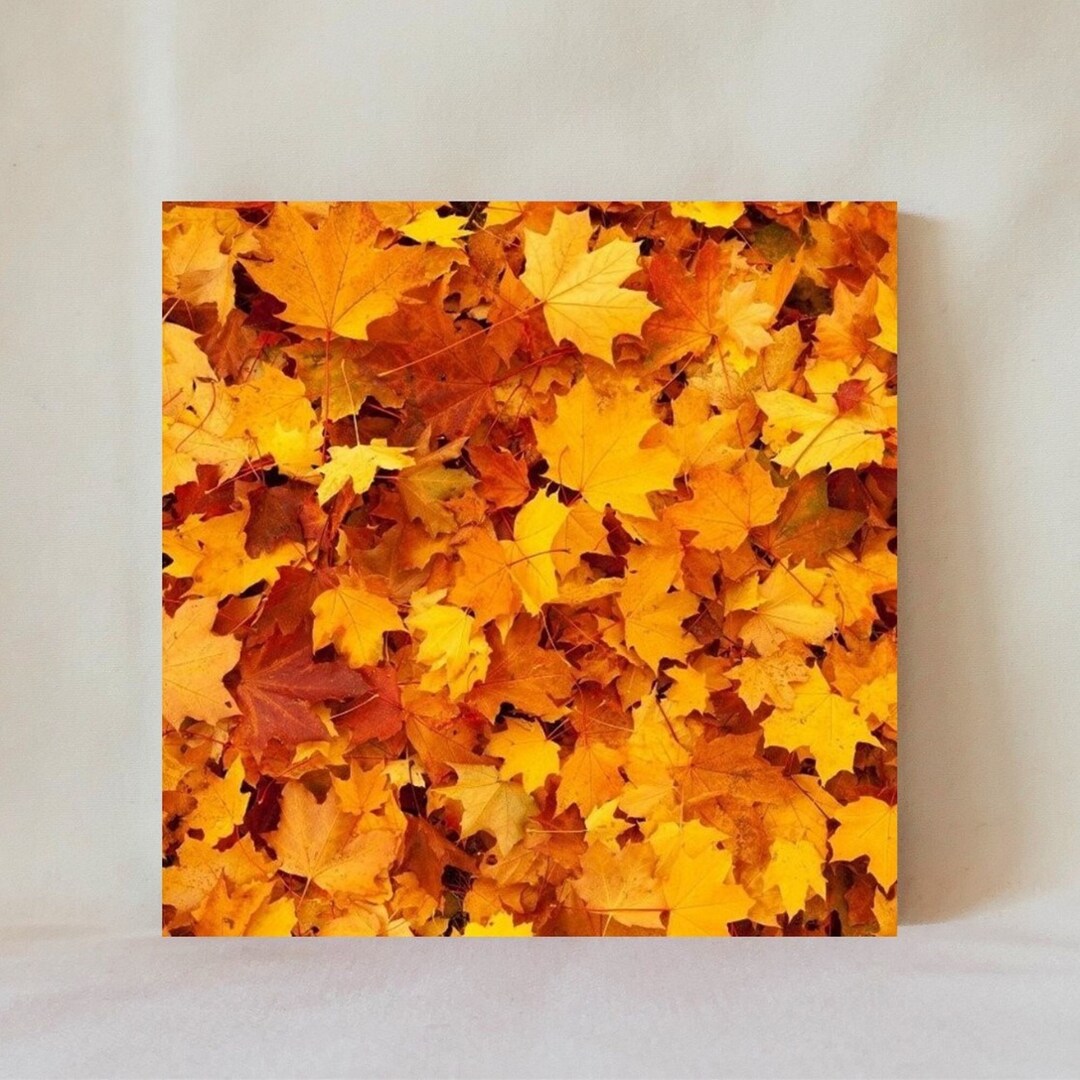 Decorative Tile, 4x4, Autumn Leaves, Fall Foliage, Oak Leaves, Fall ...