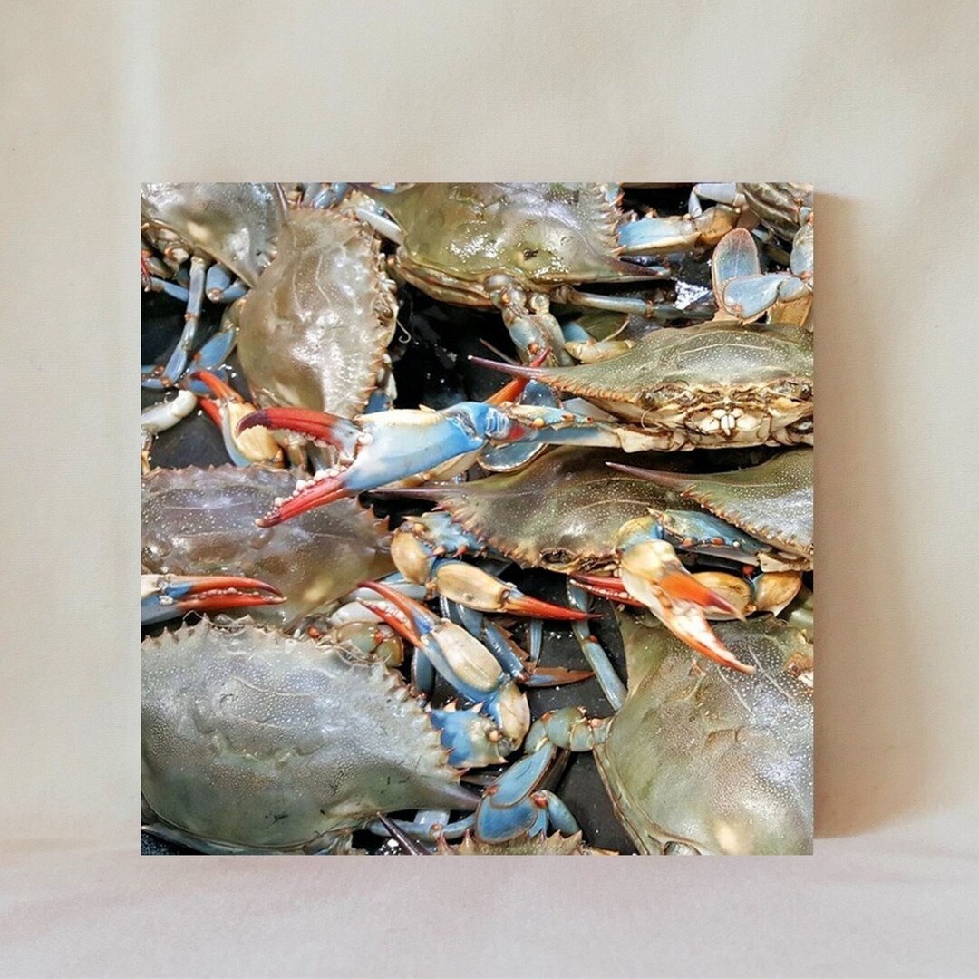 Handmade Coaster, 4"x4", Blue Crab, Crustacean, Atlantic Blue Crab ...