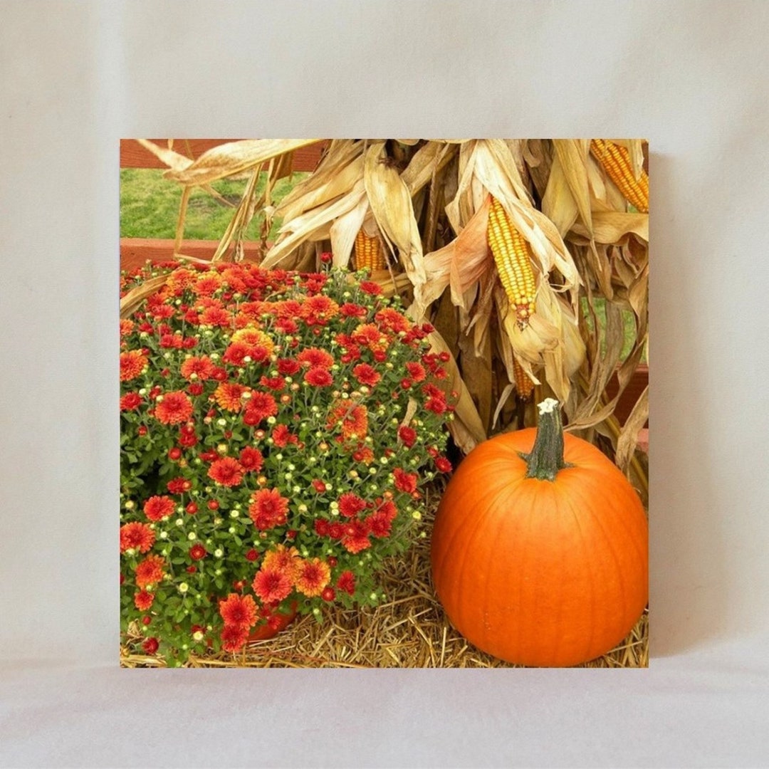 Handmade Coaster, 4"x4", Fall Mum, Fall Pumpkin, Corn Stalks, Fall ...