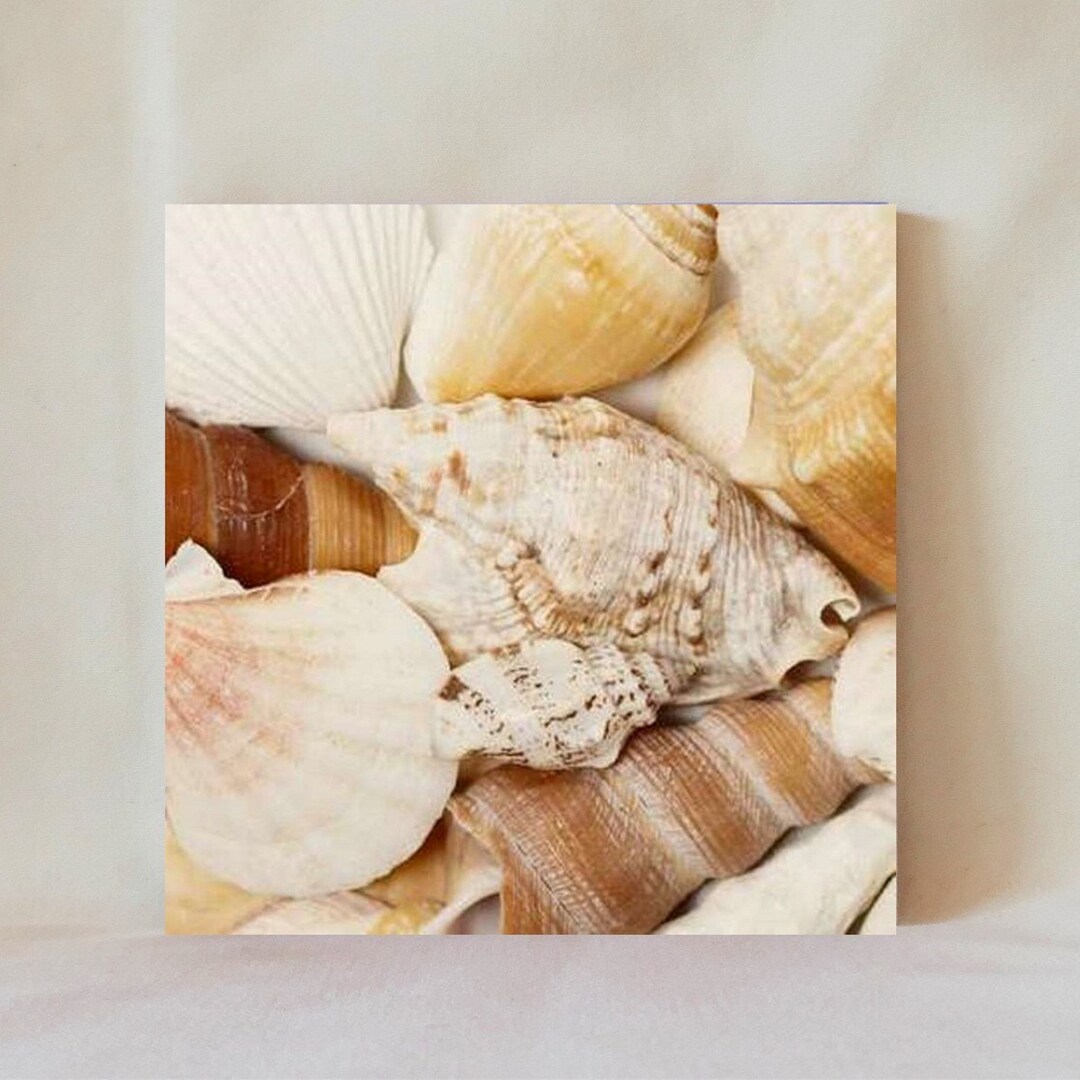 Handmade Coaster, 4" X 4", Sea Shells, Shell Collection, Mixed Shells ...