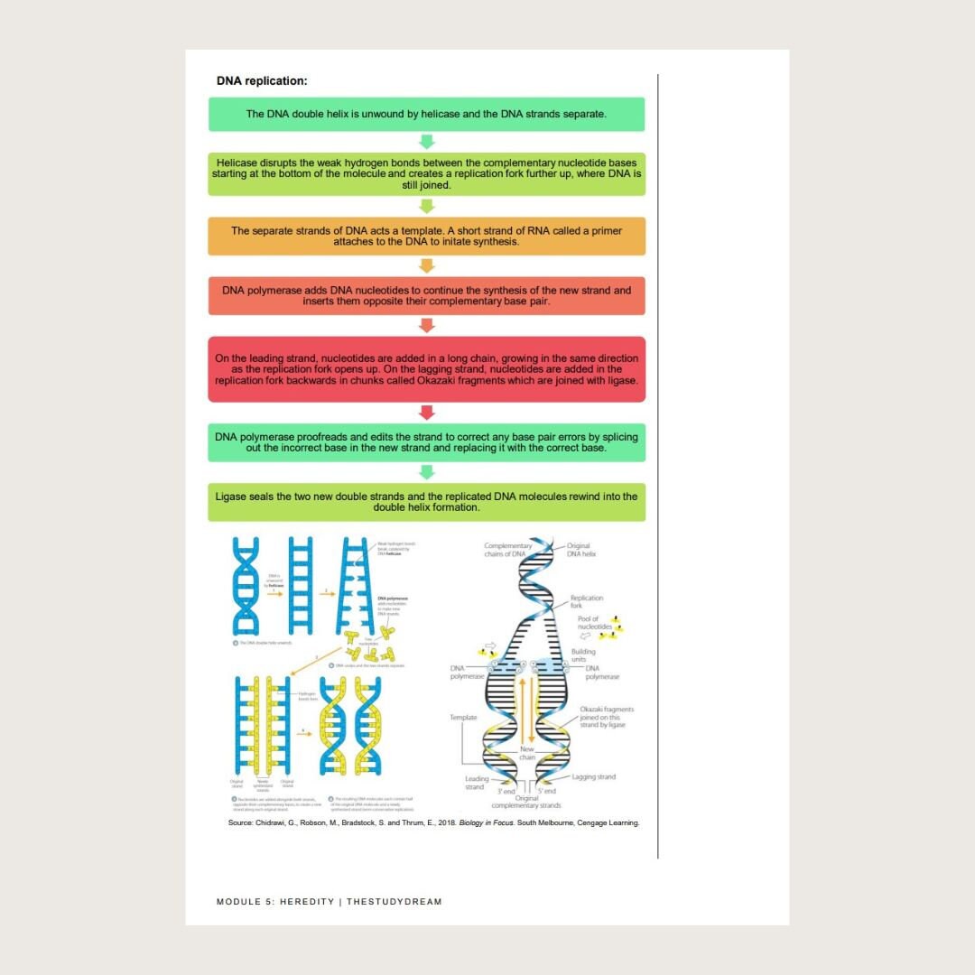 HSC Biology Module 5 Notes - Etsy