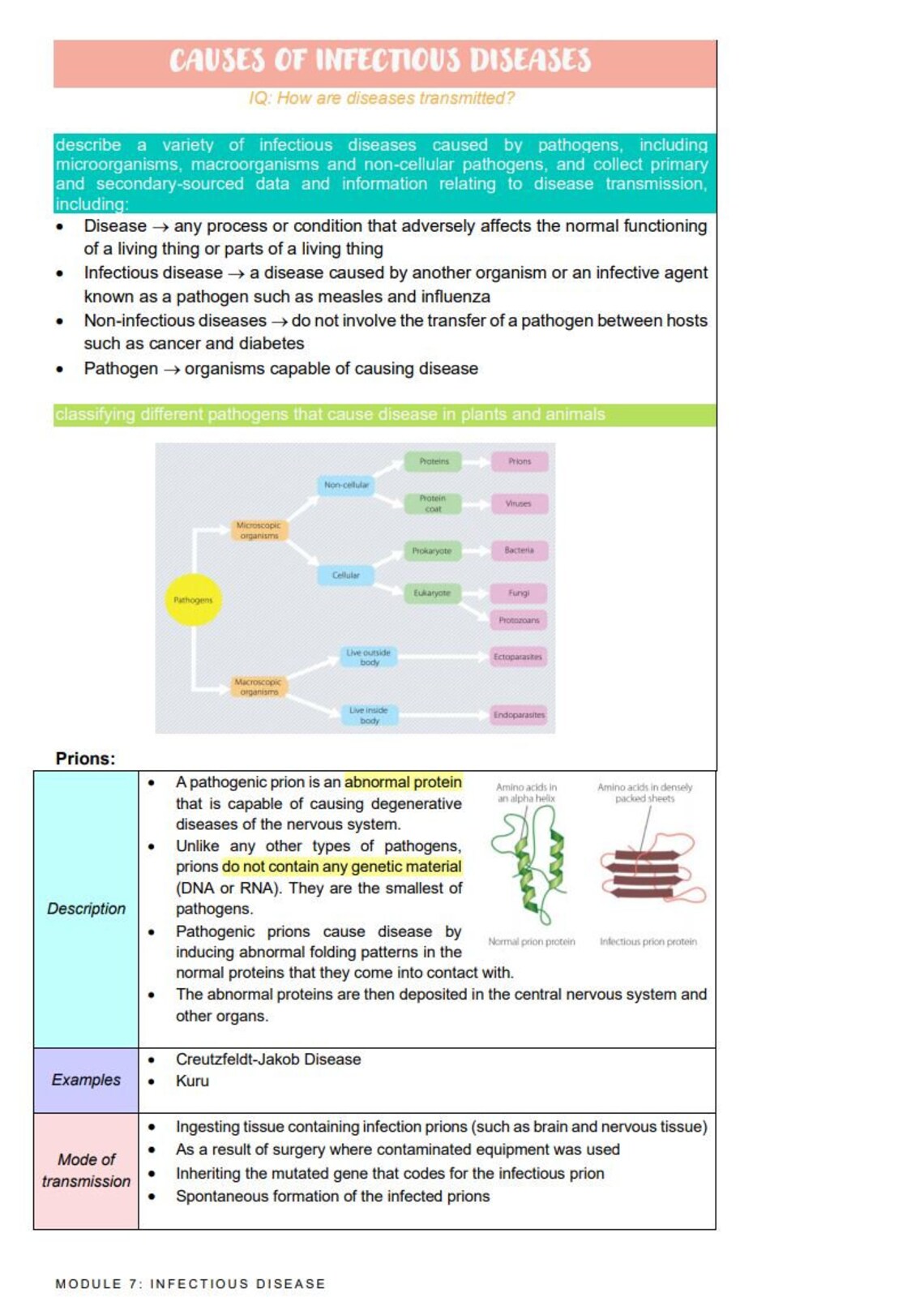 HSC Biology Notes modules 5-8 | Etsy Australia