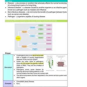 HSC Biology Notes modules 5-8 | Etsy Australia