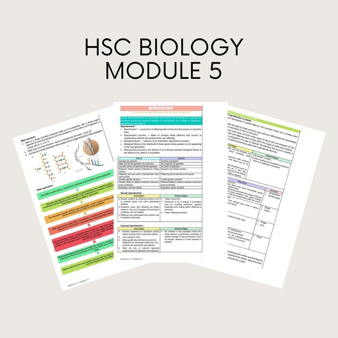 HSC Biology Module 5 Notes - Etsy