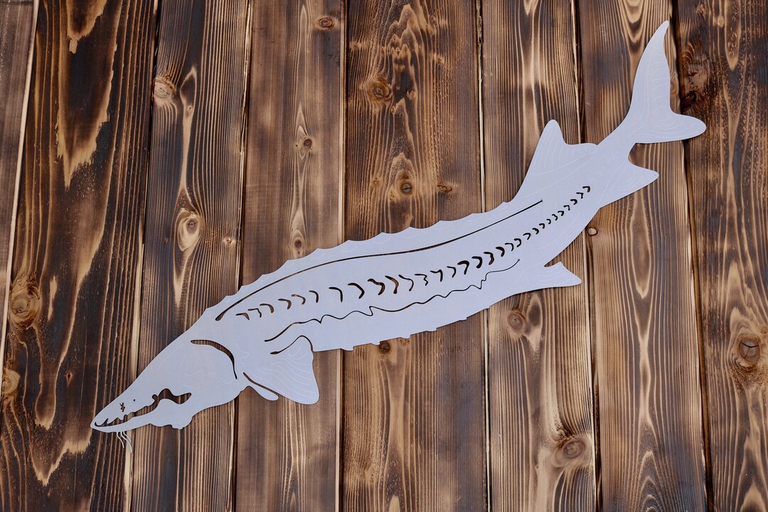 Stainless Steel Sturgeon Wall Art - Etsy