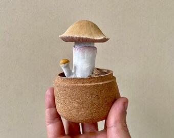 Psilocybe Cubensis - Etsy