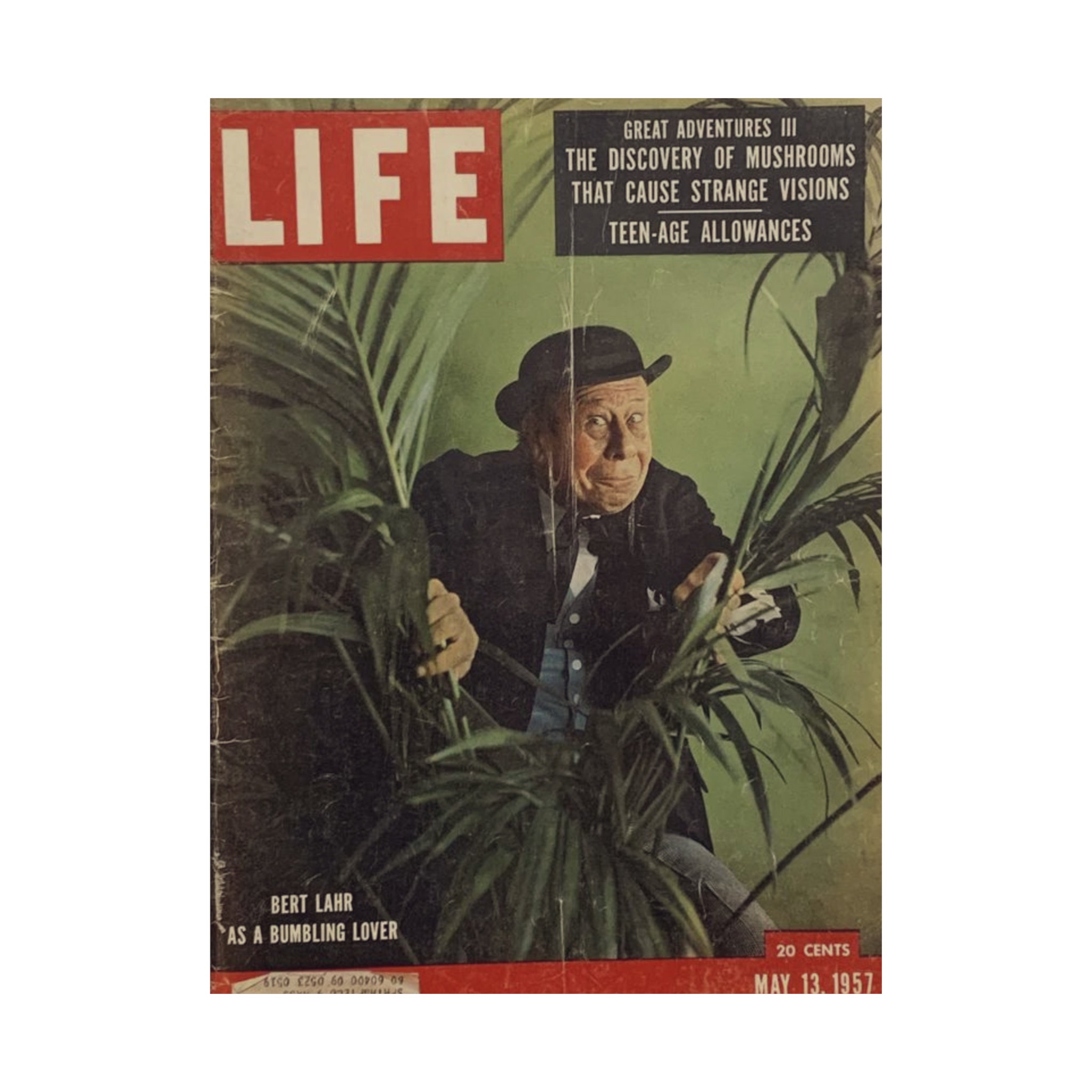 Life Magazine Cover Poster 1957 Gordon Wasson Vintage - Etsy