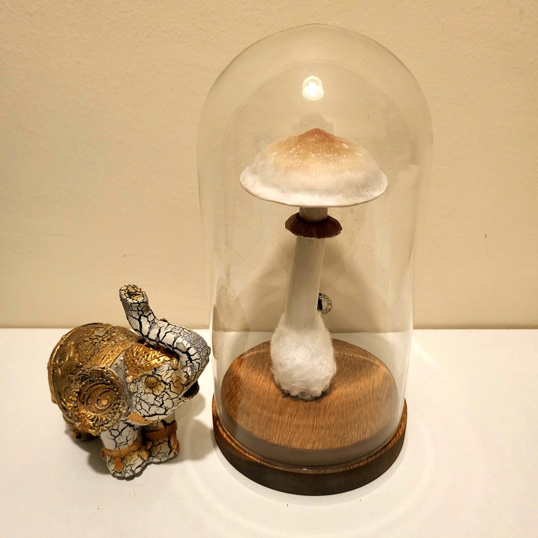 Realistic Psychedelic Mushroom Sculpture Decor One of a - Etsy