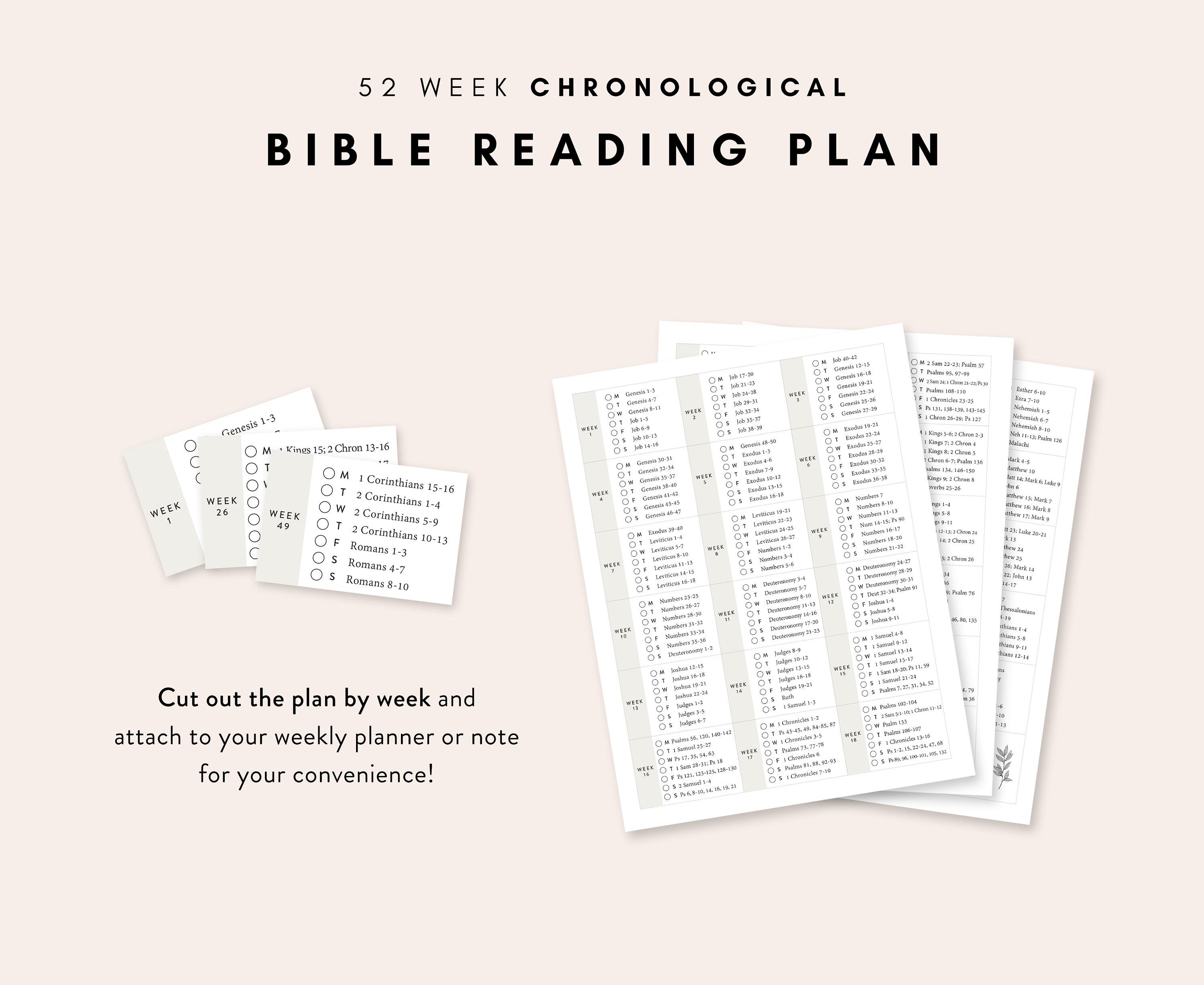 52 Week Bible Reading Plan