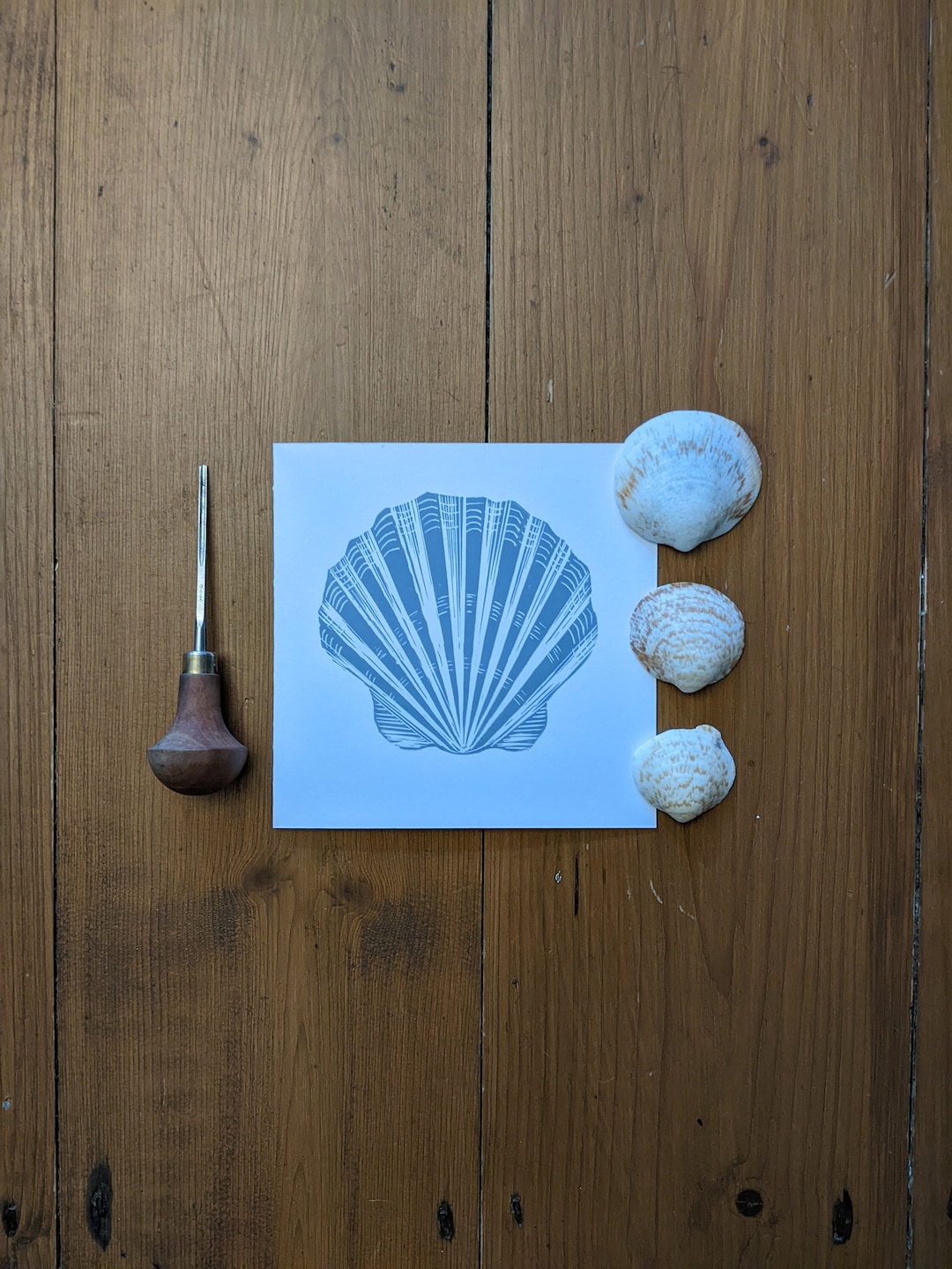 Scallop Shell Original Lino Print Card - Etsy