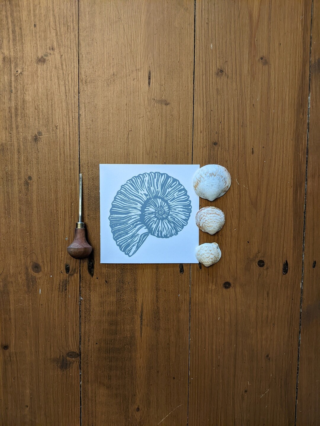 Ammonite Fossil Original Lino Print Card - Etsy