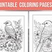 Stress Relief Adult Coloring Book, Bird & Flowers Coloring Pages ...