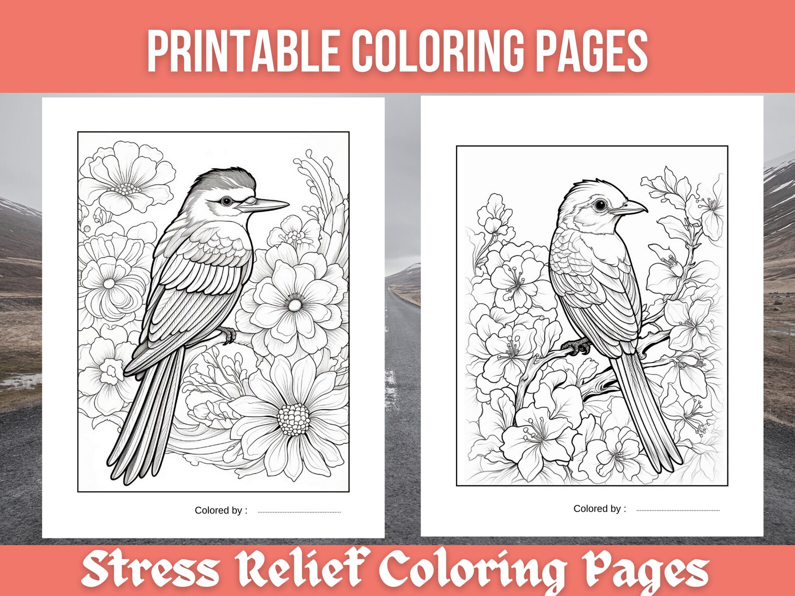 Stress Relief Adult Coloring Book, Bird & Flowers Coloring Pages ...