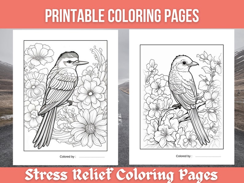 Stress Relief Adult Coloring Book, Bird & Flowers Coloring Pages ...