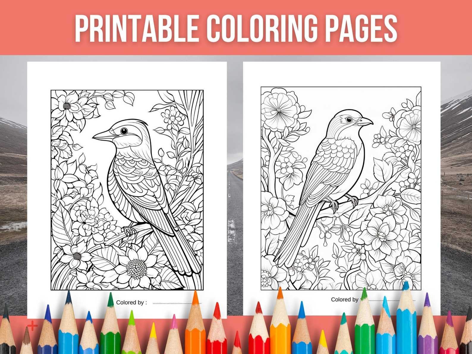 Stress Relief Adult Coloring Book, Bird & Flowers Coloring Pages ...