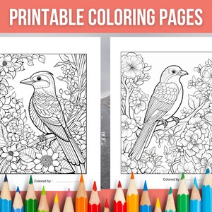 Stress Relief Adult Coloring Book, Bird & Flowers Coloring Pages ...